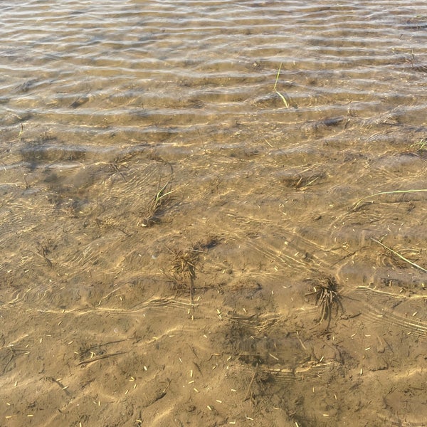 Singkir Laut - Beach