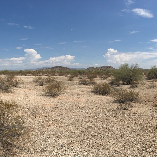 Buckeye Hills Regional Park - County Cir W