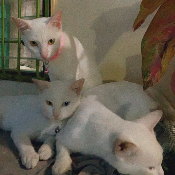 Camp Fermin G Lira Jr - Brgy Dadiangas West