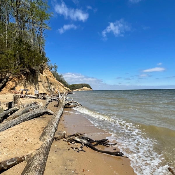Calvert Cliffs State Park - State or Provincial Park in Lusby