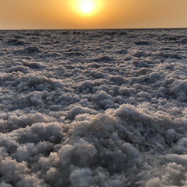 Great Rann Of Kutch - Field