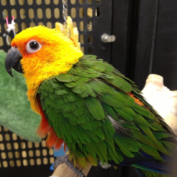 Photos at PetSmart - Brea, CA