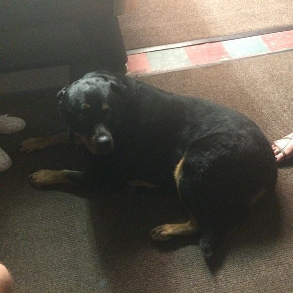 The Ugly Broad - Dive Bar in Cleveland