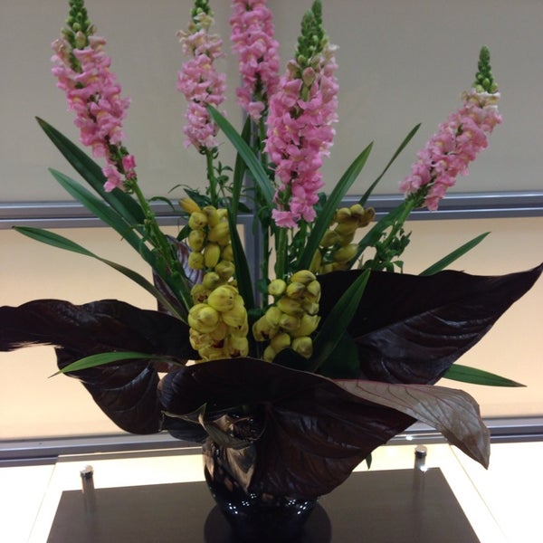 KAGOYA-JAPAN - 2 tips