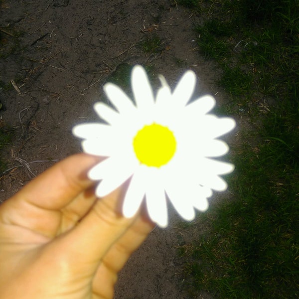 Rush North Beach - Beach