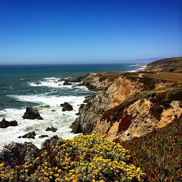 Bodega Head - 12 tips from 1173 visitors