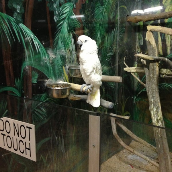 Photos at Neuseway Nature Center - Kinston, NC
