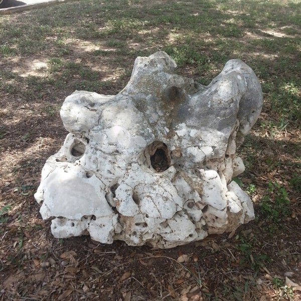 Photos at Hampton Branch at Oak Hill, Austin Public Library - Library ...