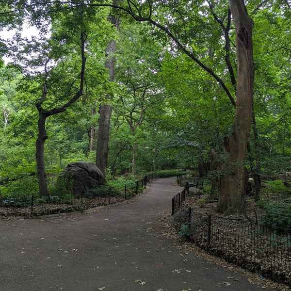 Photos at The Ramble - Central Park - New York, NY