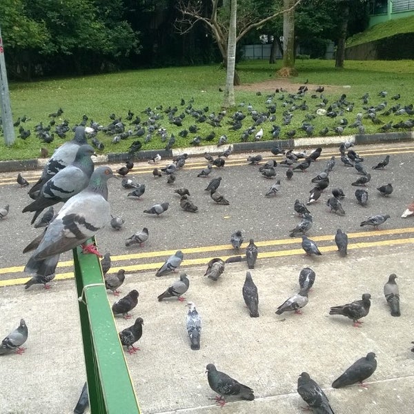 Shenton Way Bus Terminal - Financial District - 1 tip from 173 visitors