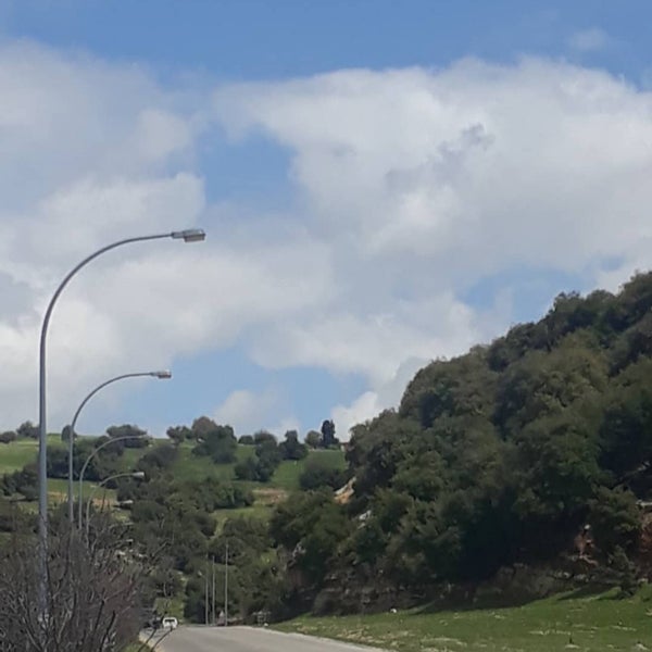 Mashrek International School