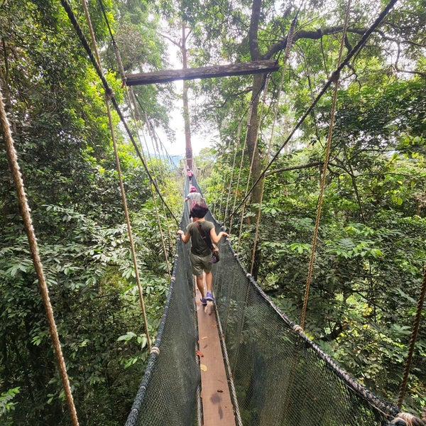 Canopy Walkway - Ranau, negeri sabah