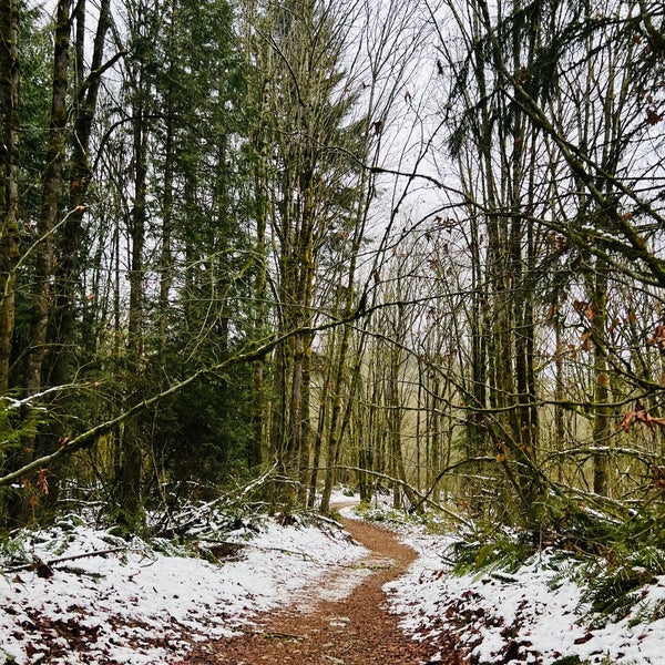 Red Town Trailhead - Hiking Trail in Bellevue