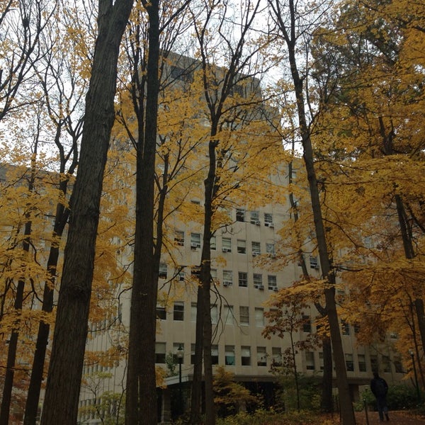 Ballantine Hall - Indiana University - 41 tips from 2004 visitors