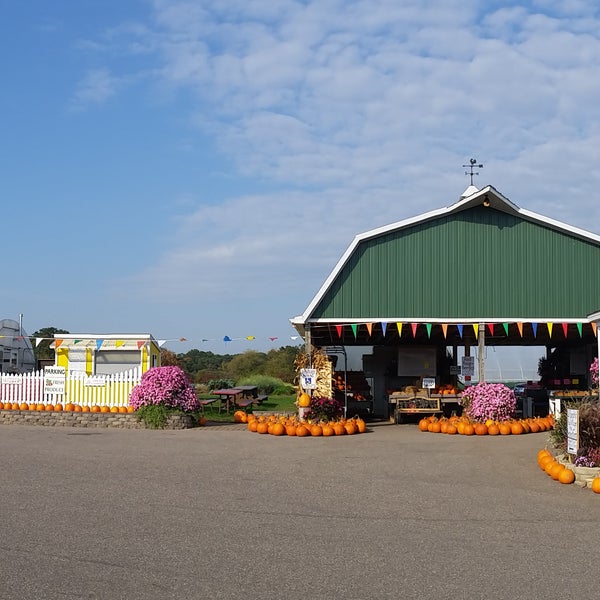 Country Bumpkin Farm Market - Fruit and Vegetable Store