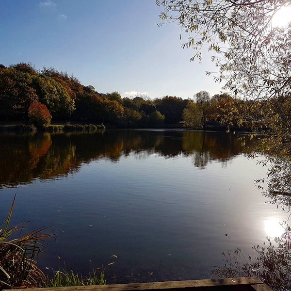 Capstone Farm Country Park - Park