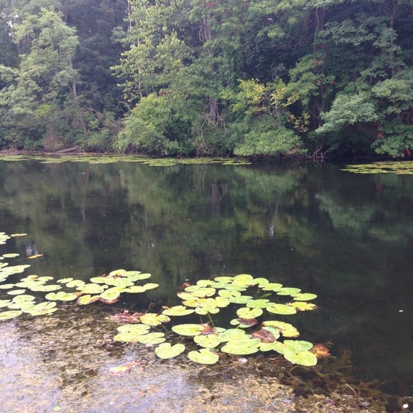 Fonz Pond - Lake Orion, MI