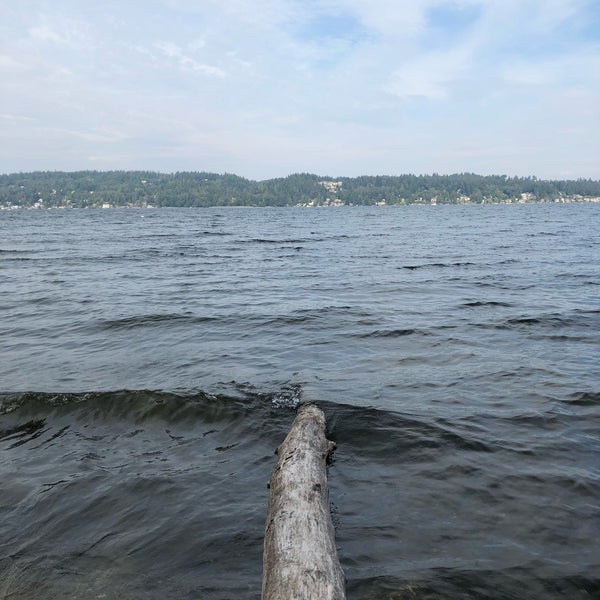 Matthews Beach Park - Park in Matthews Beach