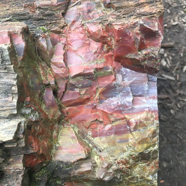 Rice NW Museum of Rocks and Minerals - Museum in Hillsboro