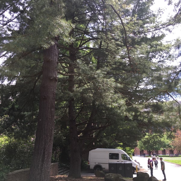 UW: Sieg Hall - University District - 2 tips from 316 visitors