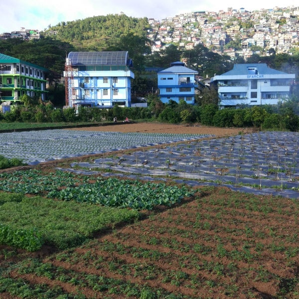 BPI COMPOUND - Housing Development