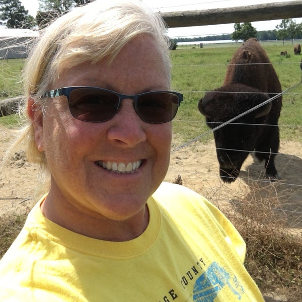 Colvine Bison Farm* - Greenwood, DE