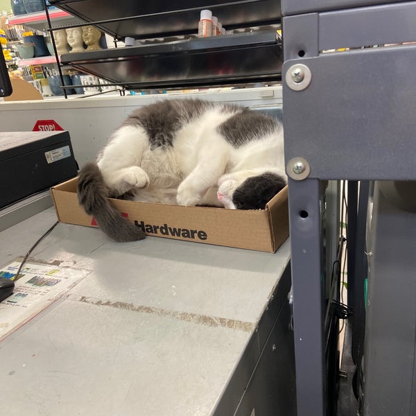 Federal Hill Ace Hdw - Hardware Store in SBIC - West Federal Hill