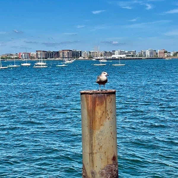 Boston Fish Pier - 1 tip from 606 visitors