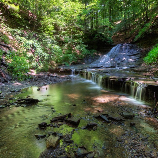 Camp Guyasuta - 300 23rd Street Ext