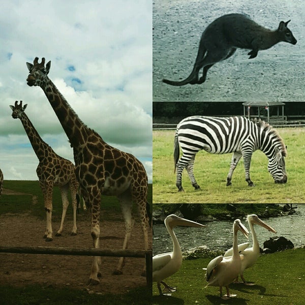 Photos at Fota Wildlife Park - Zoo