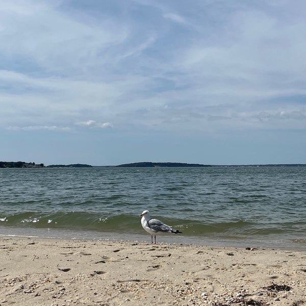 Foster Memorial Beach (Long Beach) - Beach in Sag Harbor