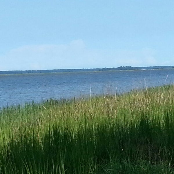 Harris Neck National Wildlife Refuge - 4 tips from 132 visitors