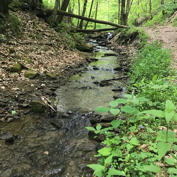 Photos at Kanawha State Forest - East End - 7500 Kanawha State Forest Dr