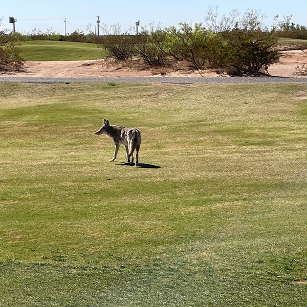 Painted Dunes Desert Golf Course - 12000 McCombs St