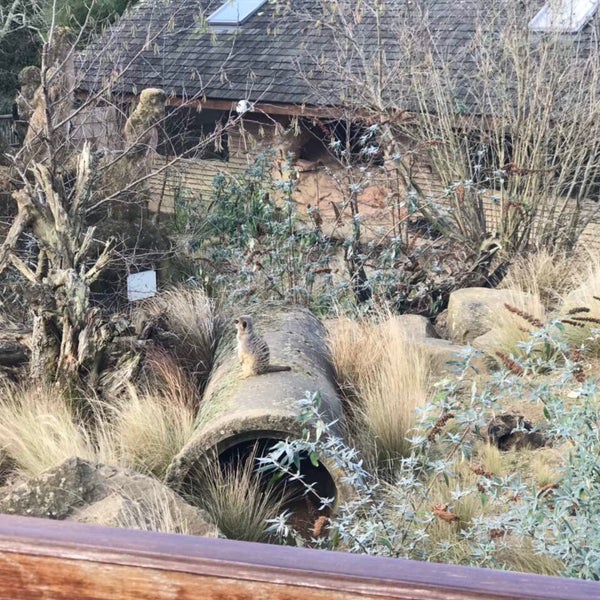 Durrell Wildlife Park - Les Augres Manor