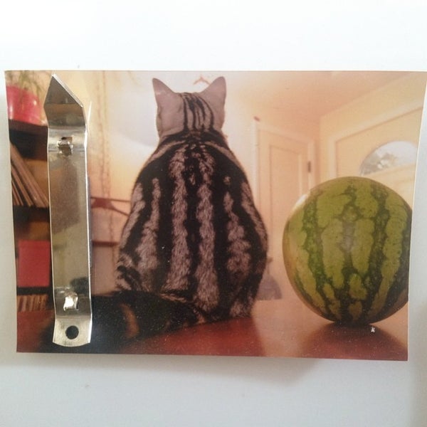 Photos at Intel - Jones Farm Campus - Office in Northwest Hillsboro