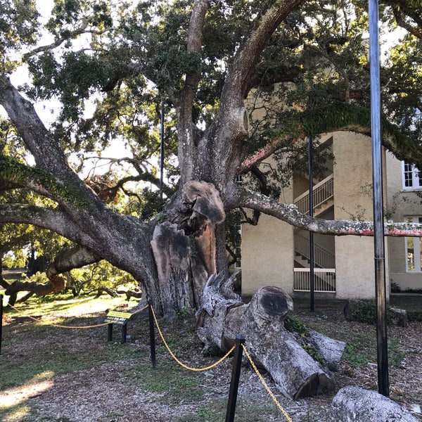 Friendship Oak - Long Beach, MS