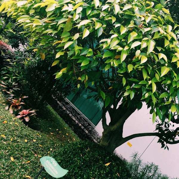 Kalbe Farma - Office