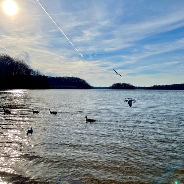 Photos at Loch Raven Reservoir - Lake