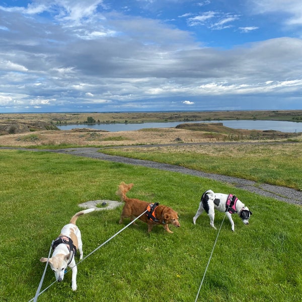 Sprague Lake Rest Area (Eastbound) - Sprague, WA
