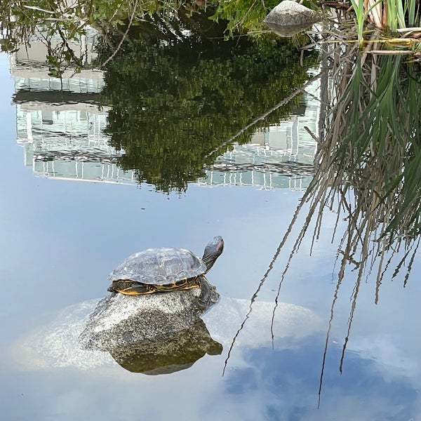 Hinge Park - Park in Vancouver
