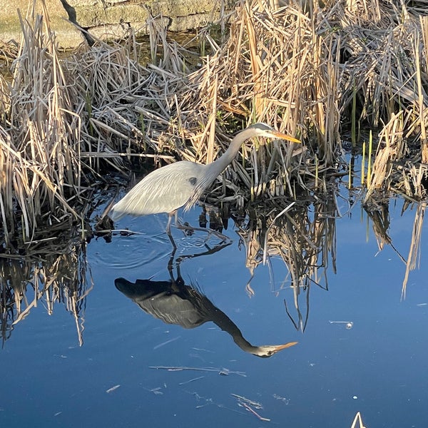 Hinge Park - Park in Vancouver