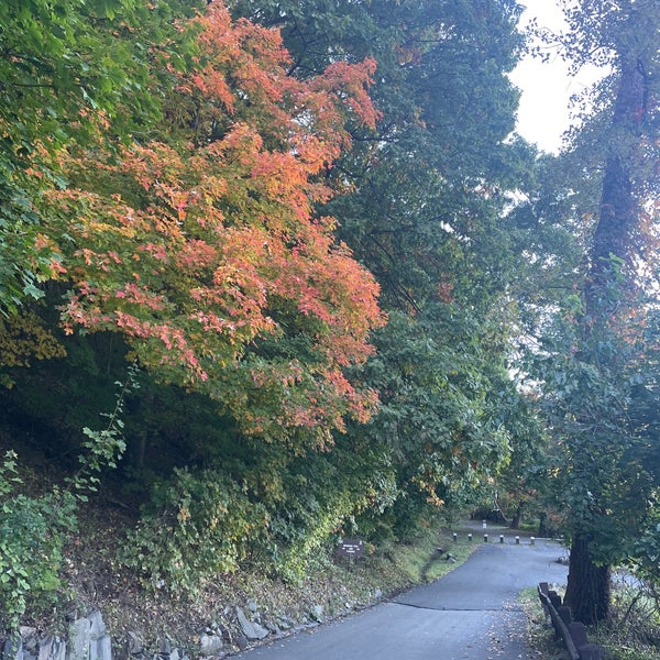 Tallman Mountain State Park - Palisades, NY