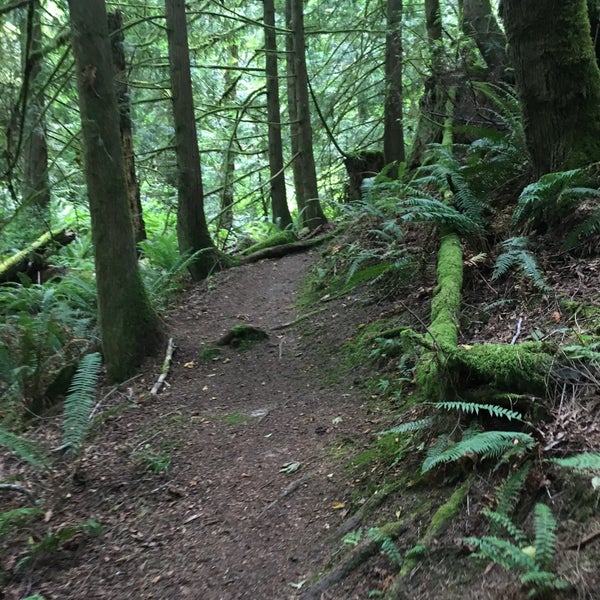 Anderson Lake State Park - State / Provincial Park