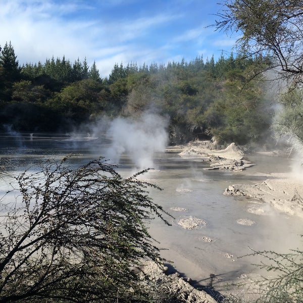 Mud Pool - Other Great Outdoors in Waiotapu