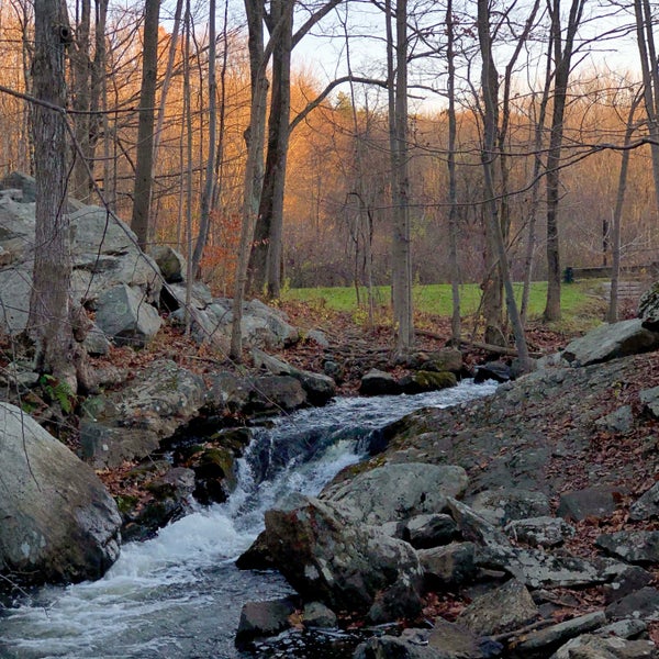 Wawayanda State Park - 17 tips from 807 visitors