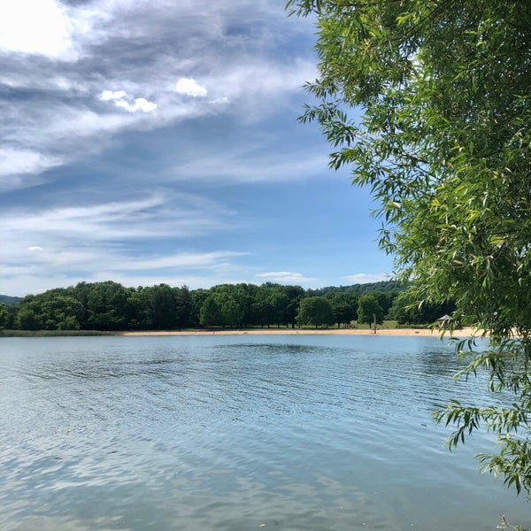 Are Dogs Allowed At Sprucerun Reservoir Nj