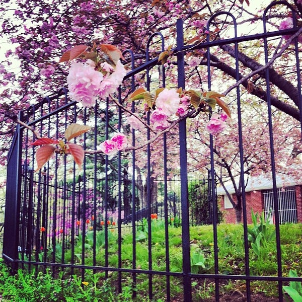 Rose Park - Park in Georgetown