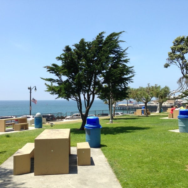 The great white shark exhibit - Museum in Redondo Beach