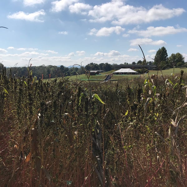 Eliada Home Corn Maze - 2 Compton Dr